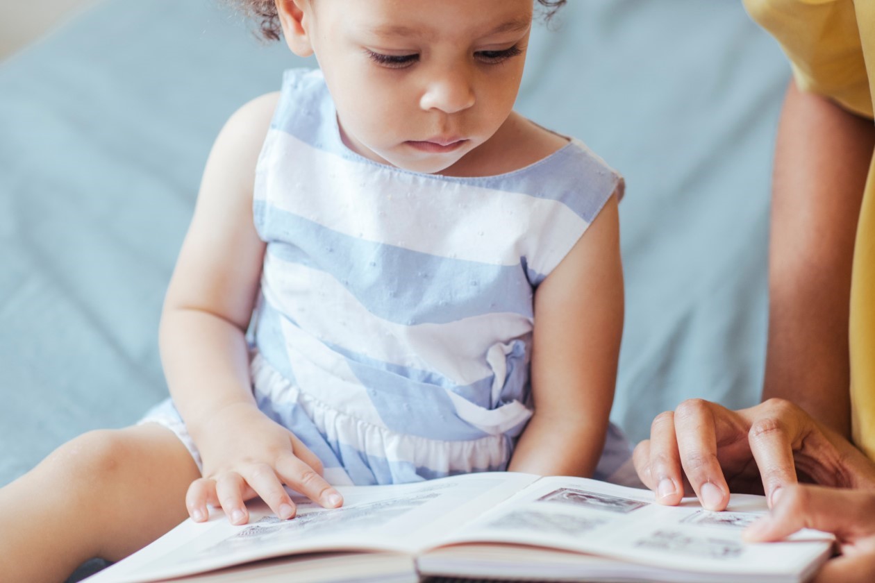 Building Capacity for Change: A Playbook for Growing Early Childhood ...